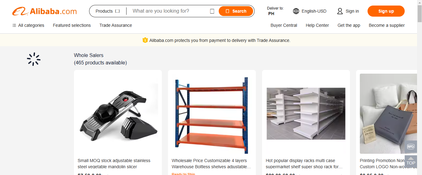 E-commerce Platforms in the Philippines to Discover the Best