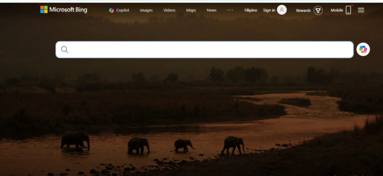 Top 5 Search Engines in the Philippines for Online Success